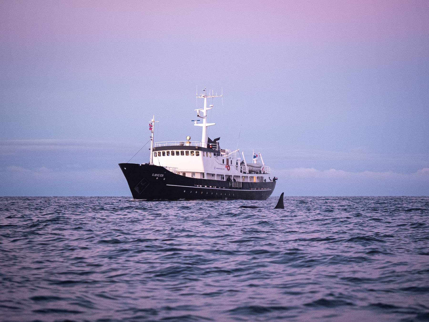 Ivan With Whales | Swim with Orcas in Norway